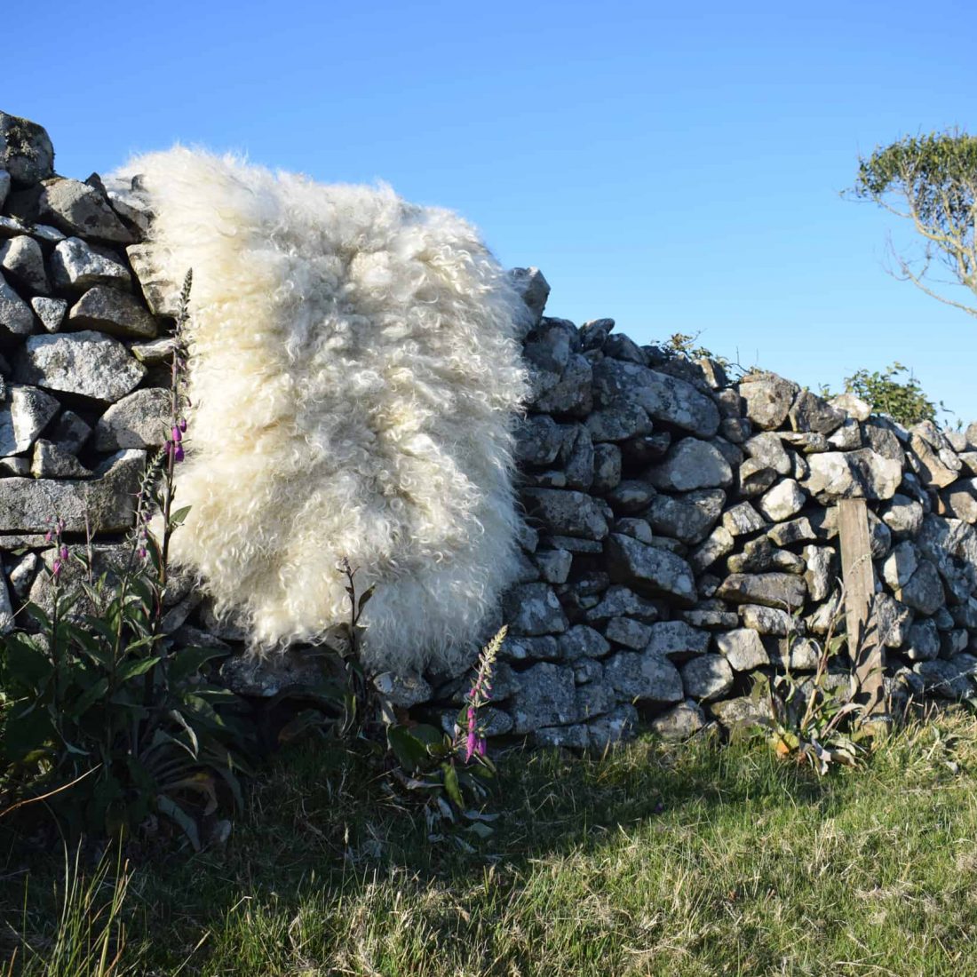 Felted Fleece Rug 'Doris' - Vegetarian Sheepskin Natural Wool Sheep ...