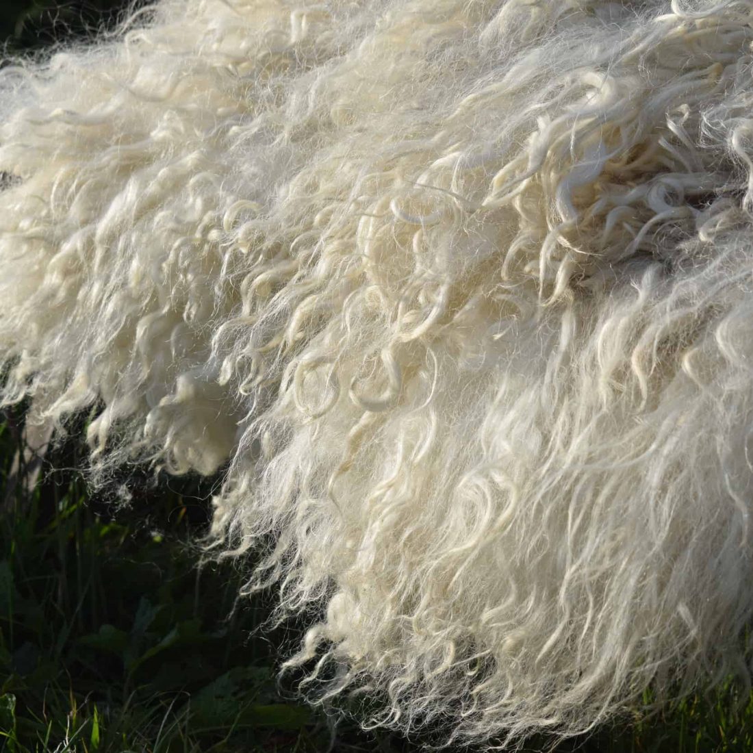 Felted Fleece Rug 'Doris' - Vegetarian Sheepskin Natural Wool Sheep ...