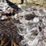 Pegloom Natural Woven Wool Rug Herdwick Handmade Vegetarian Beautiful ...