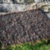 Pegloom Natural Woven Wool Rug Herdwick Handmade Vegetarian Beautiful ...