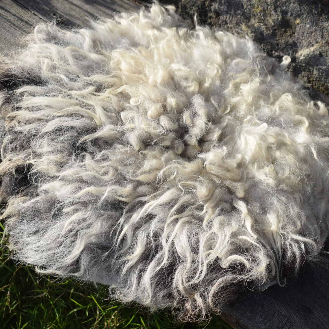 Felted Fleece Vegetarian Sheepskin Seat pad rug Natural Grey Torddu ...