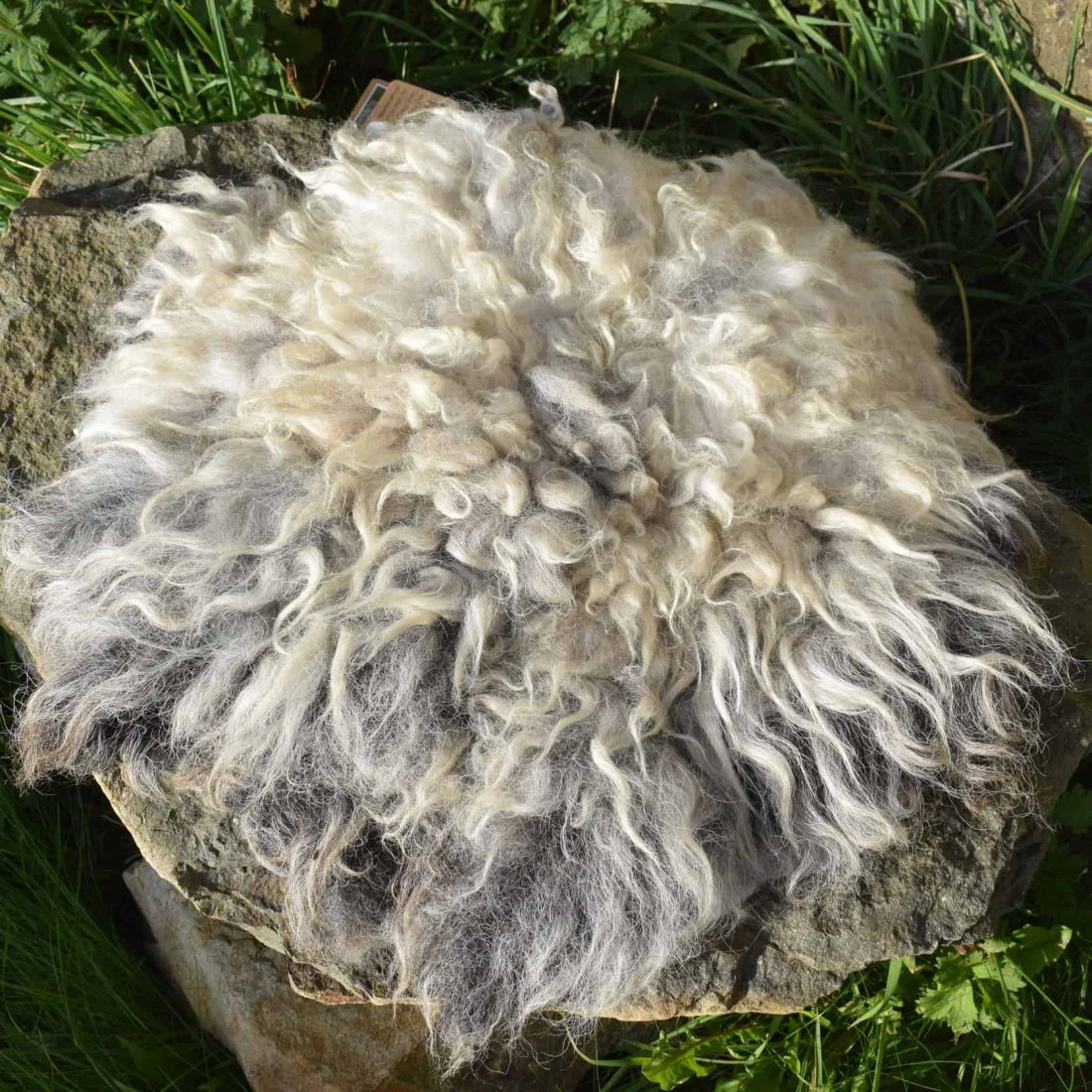 Handmade Sheep Needle Felt Wool Valais Blacknose Decoration Made in ...
