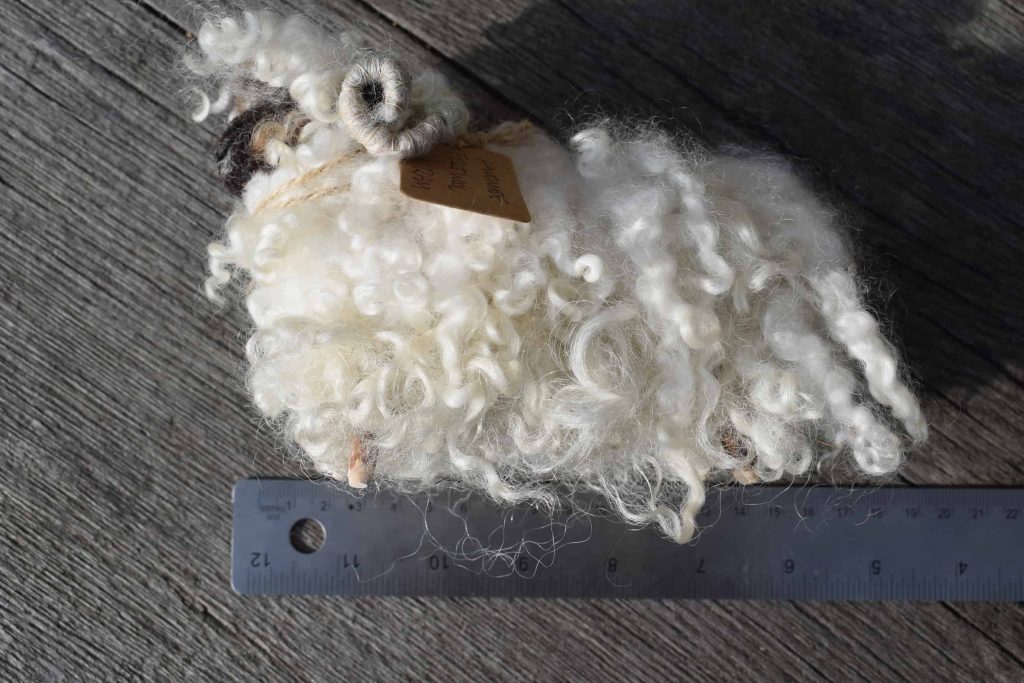 Handmade Sheep Needle Felt Wool Valais Blacknose Decoration Made in ...