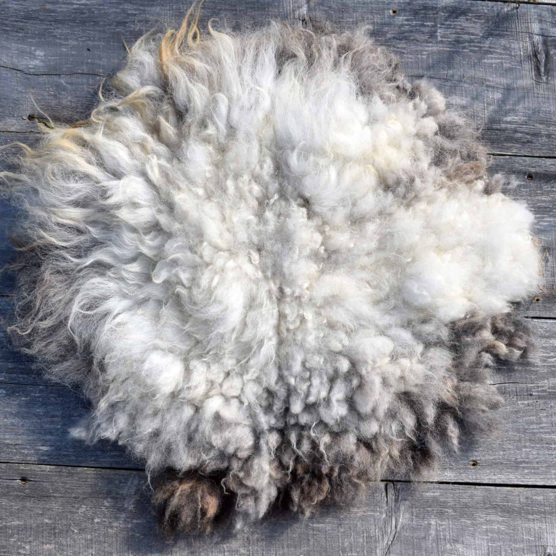 Handmade Sheep Needle Felt Wool Valais Blacknose Decoration Made in ...