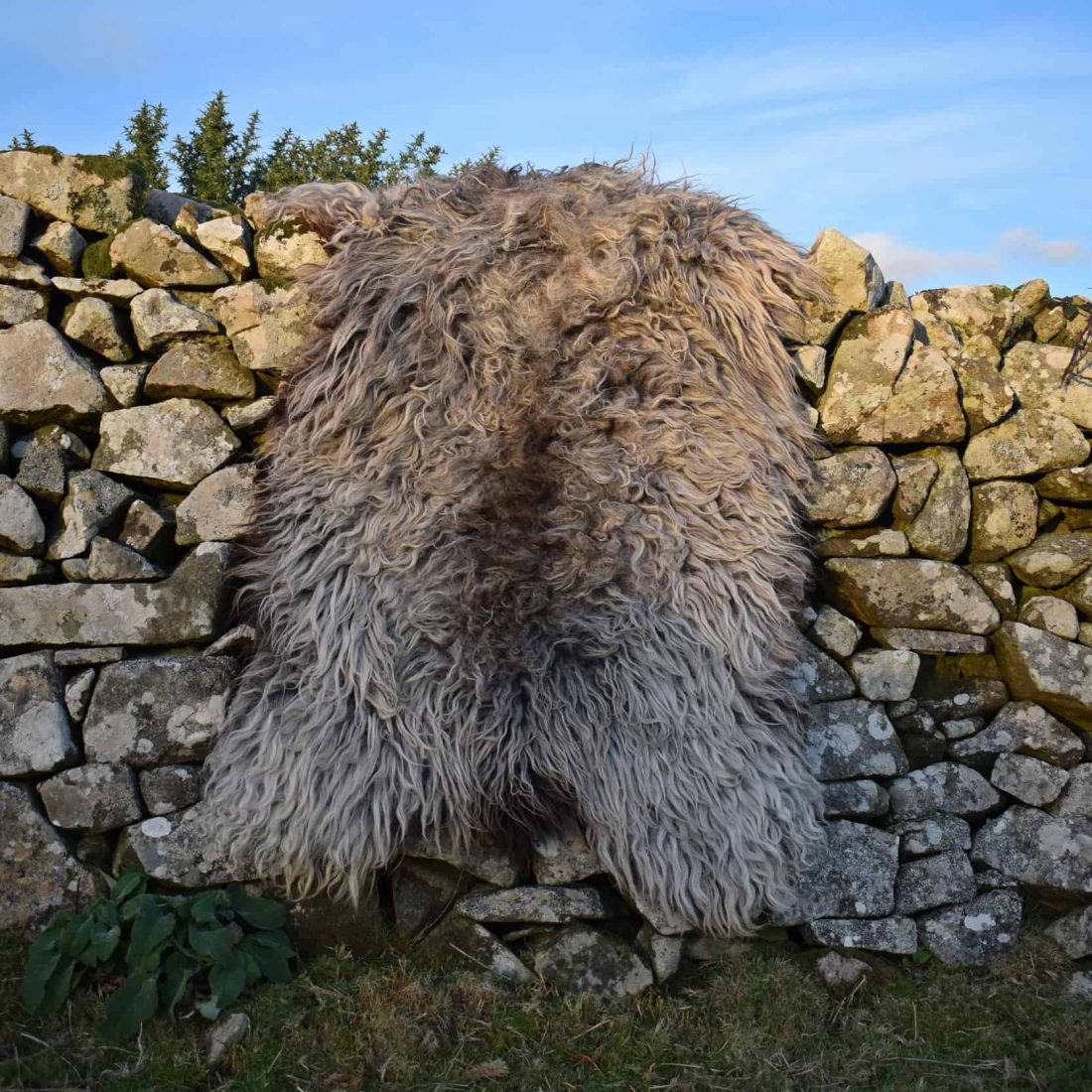 Wild Felted Fleece Rug 'Gem' - Vegetarian Sheepskin - Sheep Friendly ...